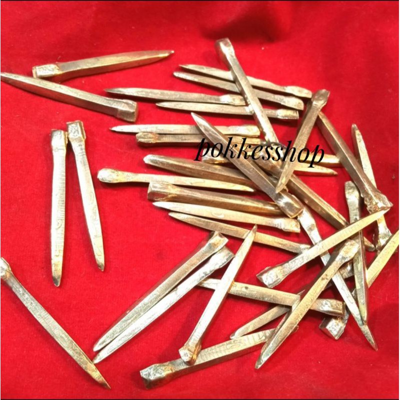 Jual Paku Raja Kuningan Sari 7cm dan 5cm | Shopee Indonesia