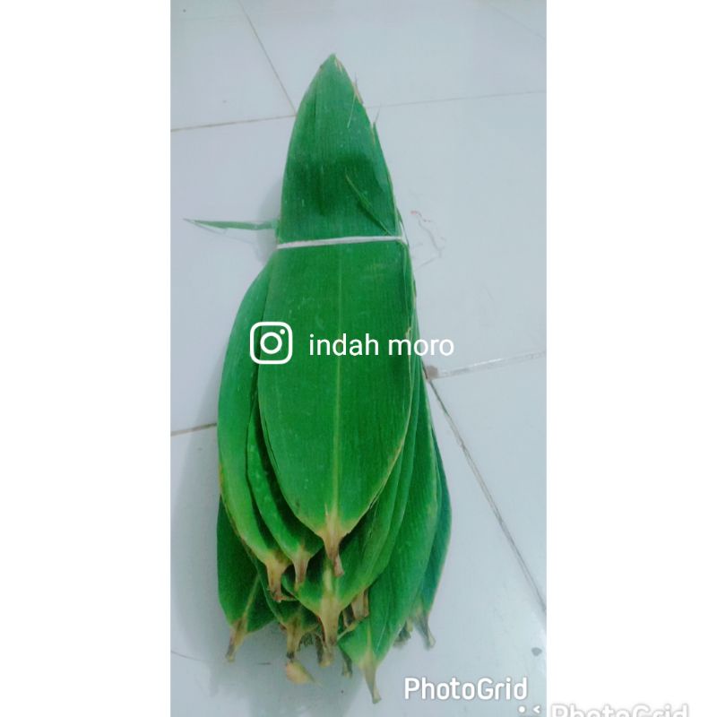 Jual 50 lembar daun bacang, daun bambu bacang. | Shopee Indonesia