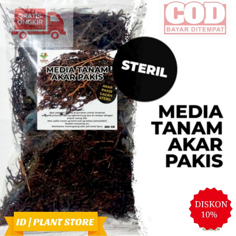 Jual Media Tanam Akar Pakis Cacah-media tanaman subur | Shopee Indonesia