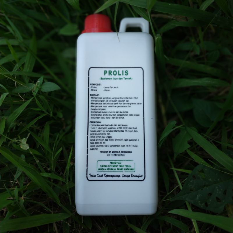 Jual PROBIOTIK Ikan Probiotik Lele untuk Pembesaran | Shopee Indonesia