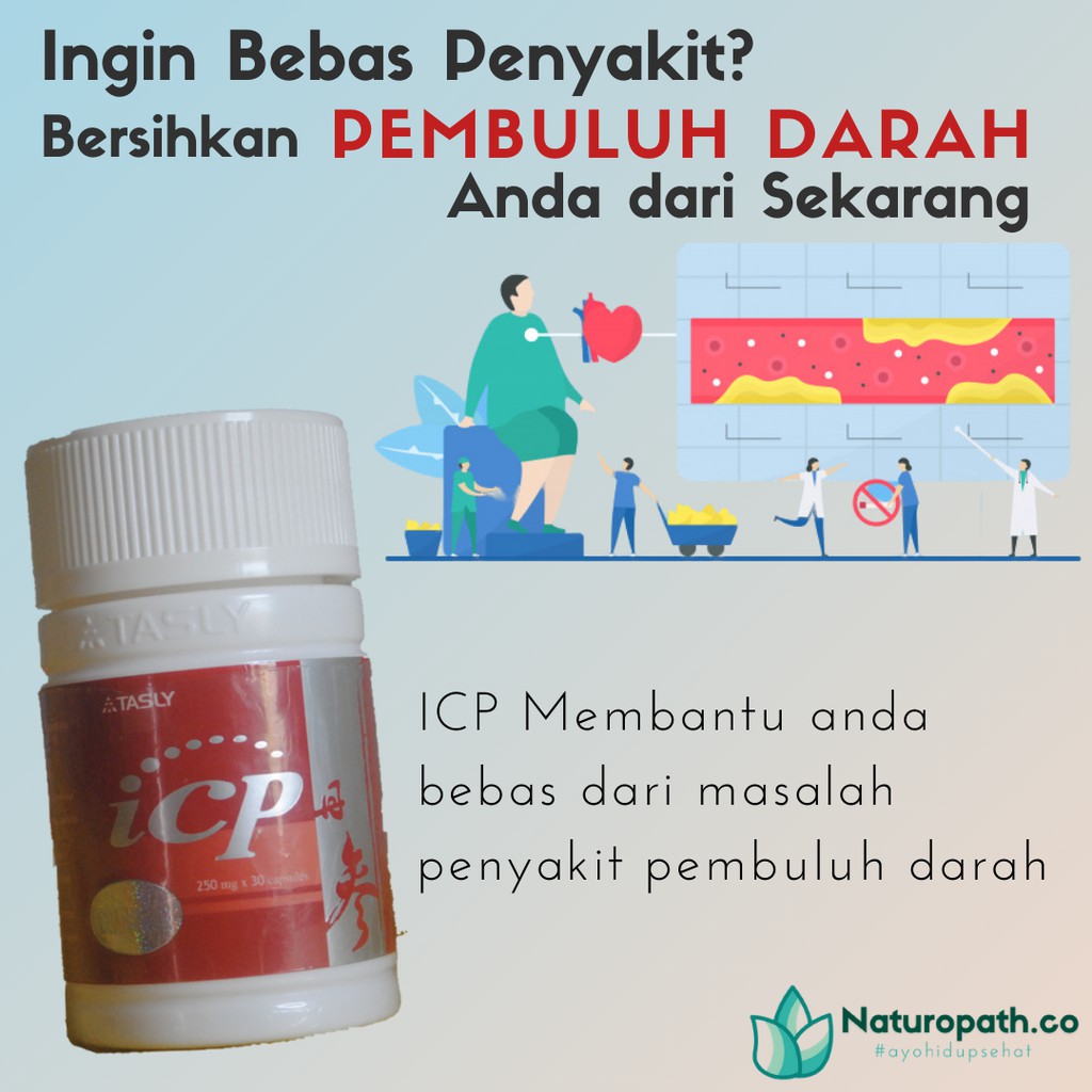 Jual ICP (Innovative Cardiotonic Pill) Tasly - Obat Herbal Penyakit ...
