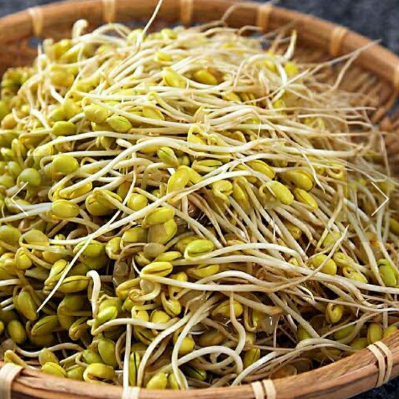 Jual Toge kedelai Besar 250gram | Shopee Indonesia