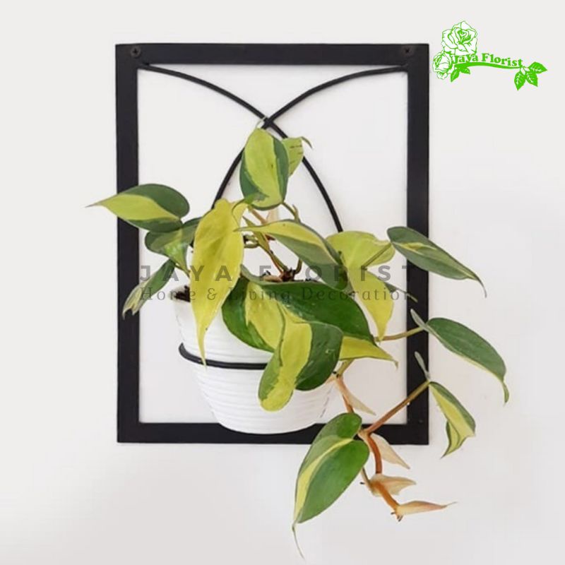 Jual Rak Pot Bunga Besi Tempel Dinding Aesthetic Model Square Rak Bunga ...