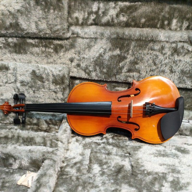 Jual STAINER - Violin Biola outfit SVG-001 - DB-4/4 ( 454000174 ...