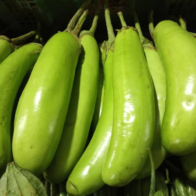 Jual Terong hijau super murah(500gram) | Shopee Indonesia