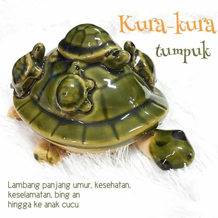 Jual Kura-Kura Tumpuk Besar | Shopee Indonesia