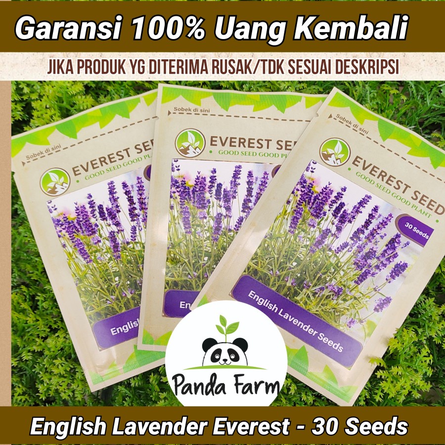 Jual Benih Bunga English Lavender Everest Seed isi 30 biji | Shopee ...