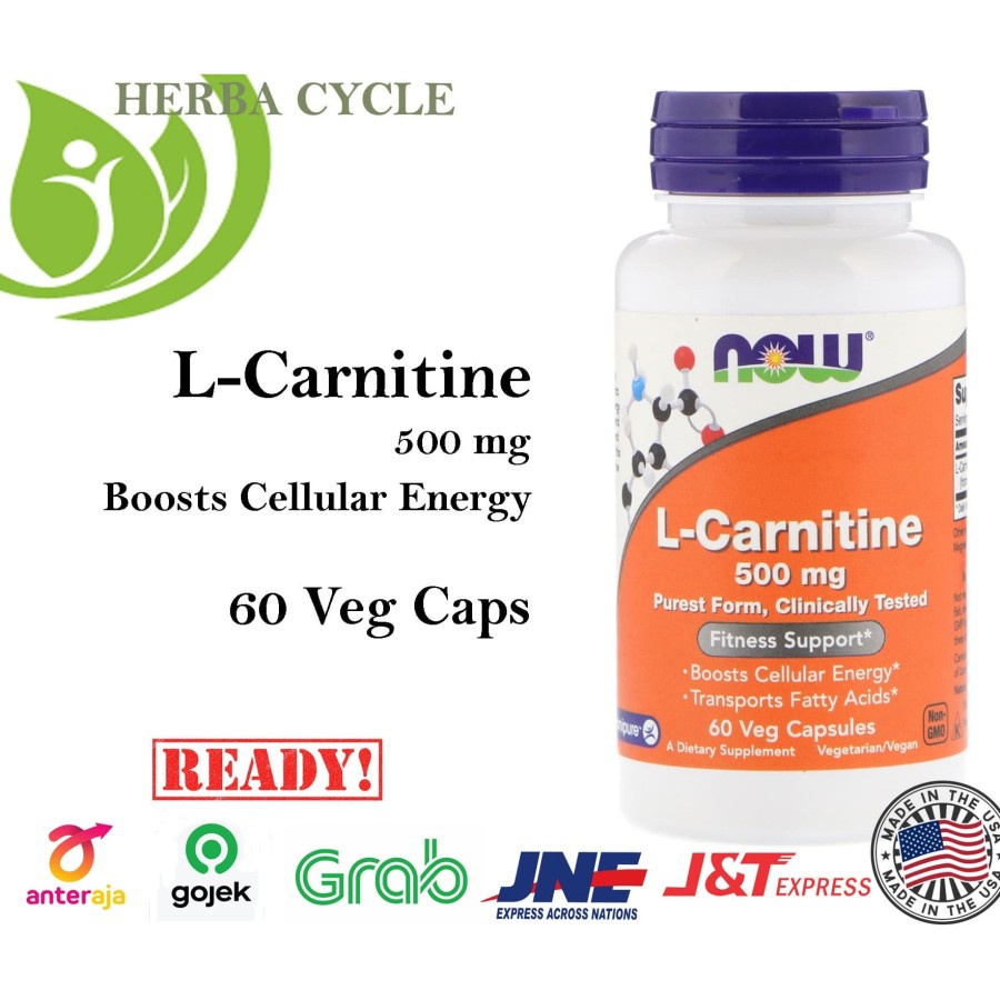 Jual Now Food L Carnitine 500 mg 60 Veg Cap Now Carnitine Naik Energi ...