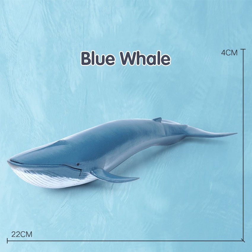 Jual Mainan Simulasi Ikan Paus / Hiu / Lumba-Lumba Figure Whale Mainan ...