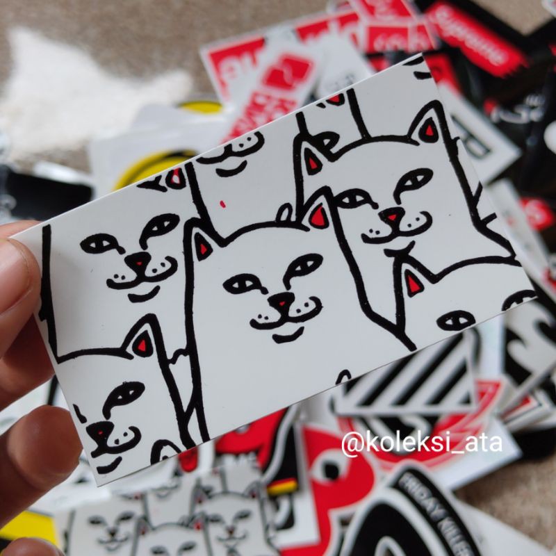 Jual stiker kucing keren | Shopee Indonesia