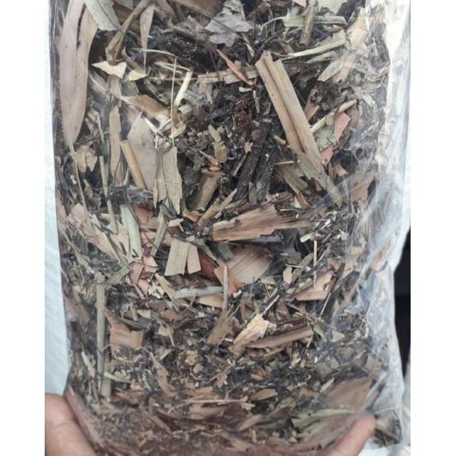 Jual Andam Bambu 500g | Shopee Indonesia