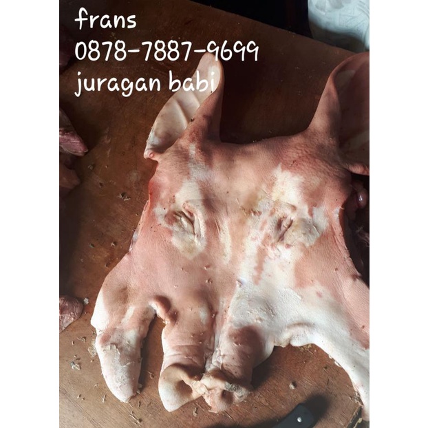 Jual Kepala Babi Lepas Tulang | Shopee Indonesia