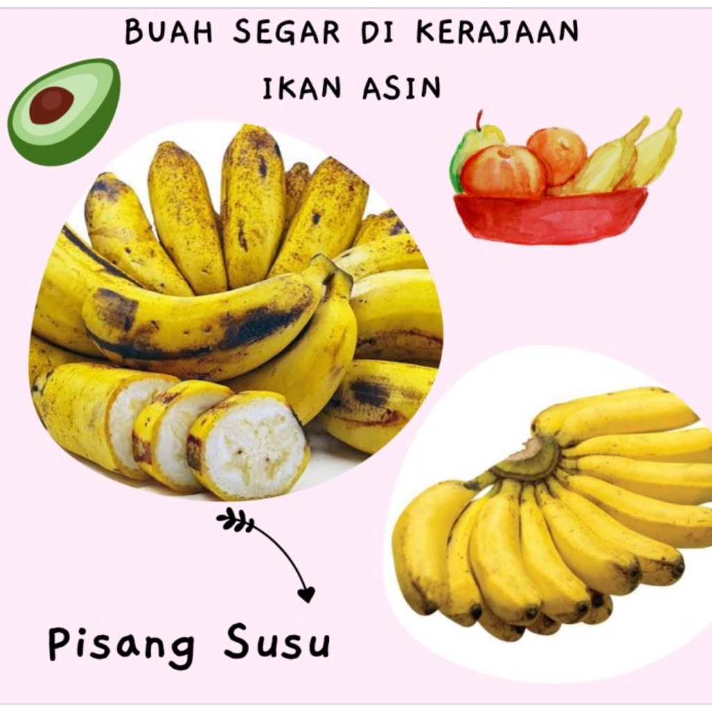 Jual PISANG SUSU 1 SISIR | Shopee Indonesia