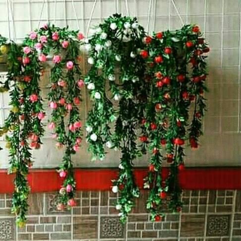 Jual Bunga Rambat Mawar Prity Plus Pot Gantung Atau Pot Dinding ...