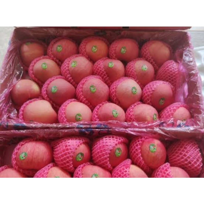 Jual BUAH APEL FUJI 1 KG FRESH | Shopee Indonesia