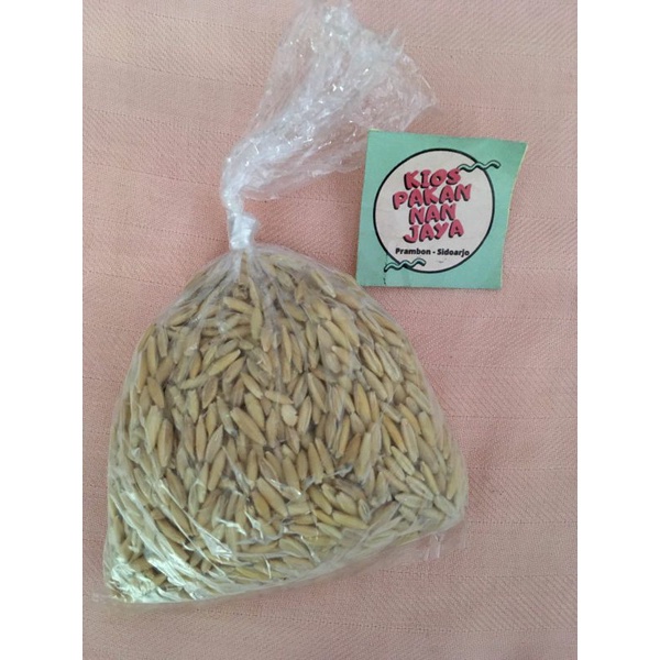 Jual haver seed 100g | Shopee Indonesia