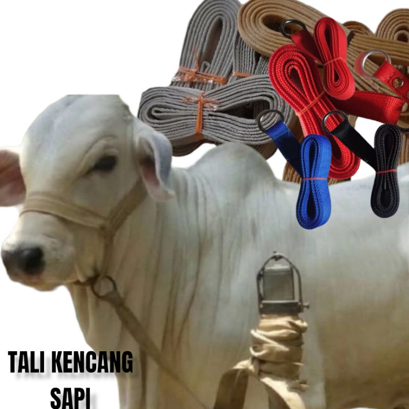 Jual TALI IKAT SAPI-TALI KENCANG SAPI/KUDA | Shopee Indonesia