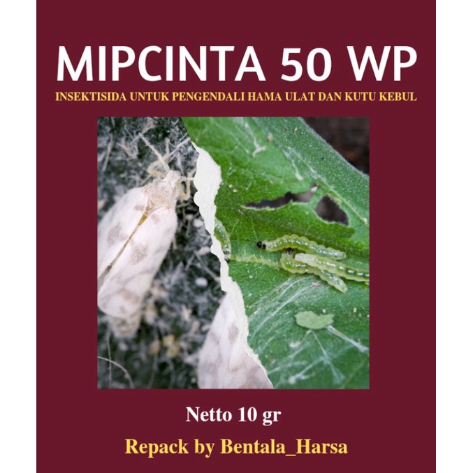 Jual REPACKING 10 GR MIPCINTA 50WP INSEKTISIDA PEMBASMI HAMA KUTU PUTIH ... Jual REPACKING 10 GR MIPCINTA 50WP INSEKTISIDA PEMBASMI HAMA KUTU PUTIH ...