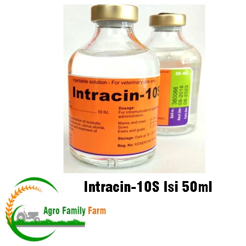 Jual Intracin 10S 50ml Hormon Perangsang Kontraksi Uterus Kelenjar Susu Hewan | Shopee Indonesia