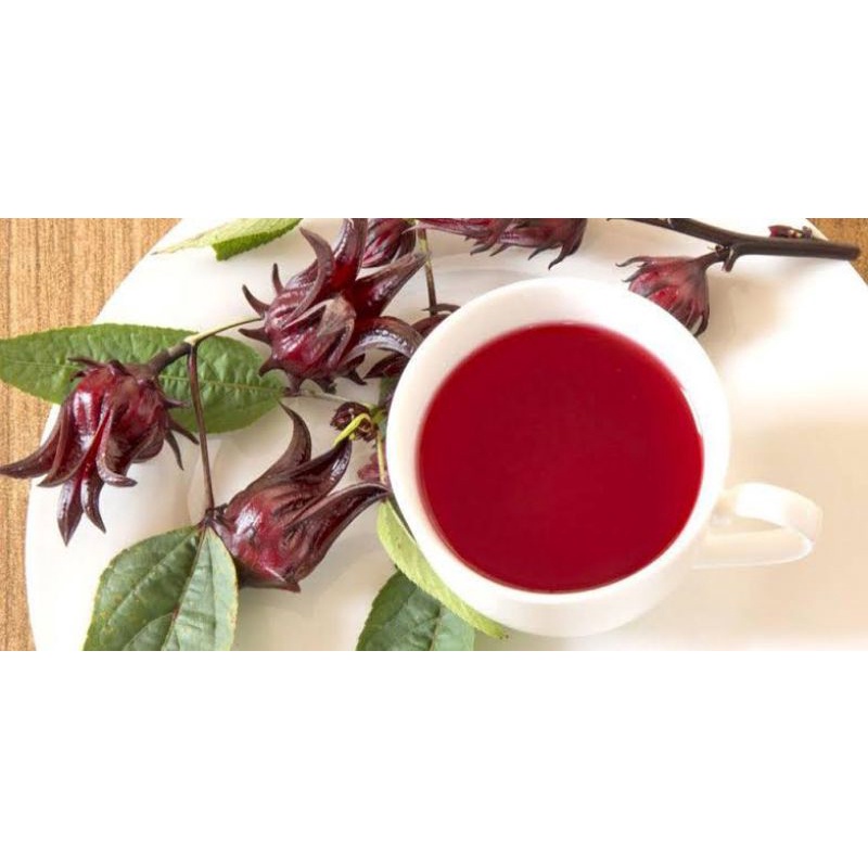 Jual Tanaman Teh Rosella Merah Kaya Manfaat (Obat Herbal) | Shopee ...