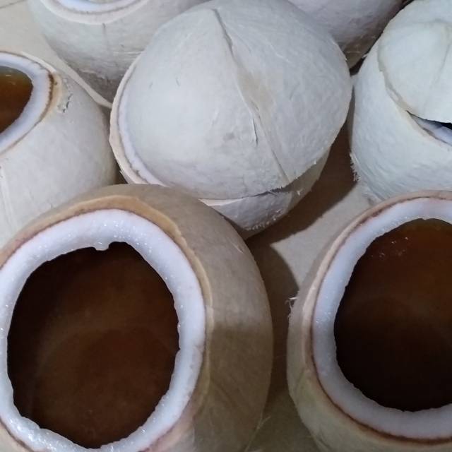 Jual puding kelapa luohanguo (kelapa botak) | Shopee Indonesia