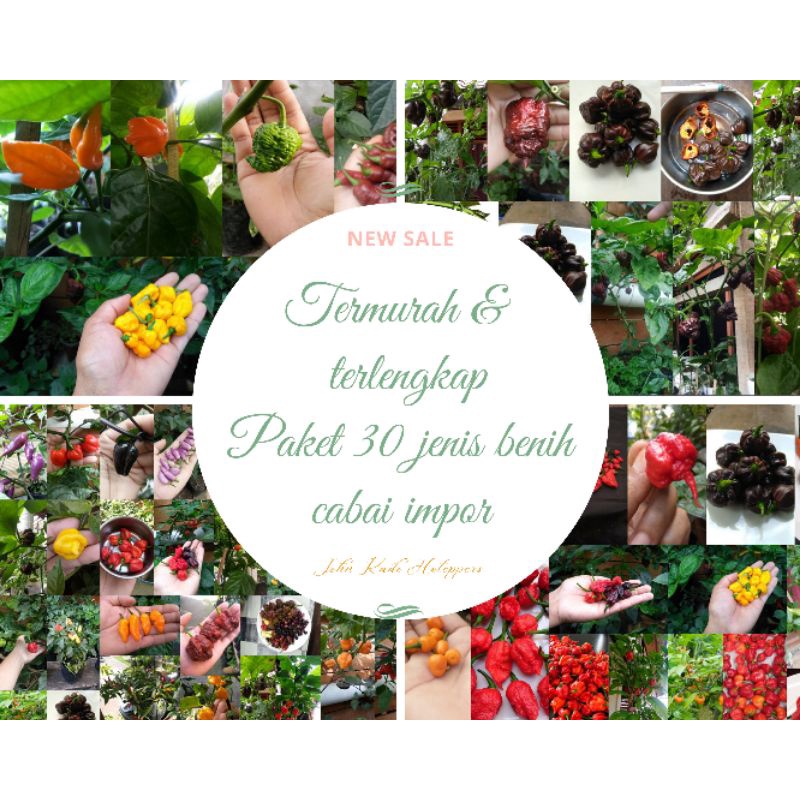 Jual Paket Hemat Super Komplit 30 Jenis Benih - Biji - Bibit Aneka Cabe ...