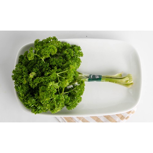 Jual Parsley 40 -50 gram / pack | Shopee Indonesia