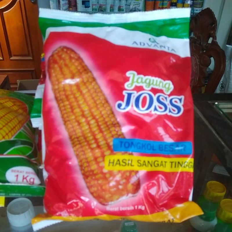 Jual BENIH JAGUNG HIBRIDA ADV 313 JOSS 1kg | Shopee Indonesia