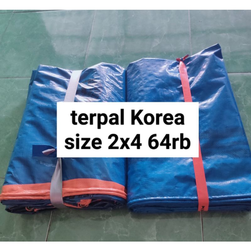 Jual terpal Korea ukuran 2x4 | Shopee Indonesia