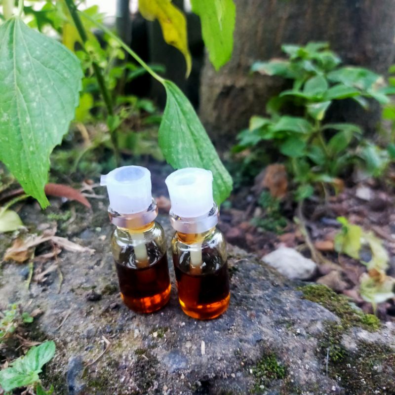 Jual Minyak Gaharu Wangi Harum Minyak Gaharu Orijinal Minyak Harum ...