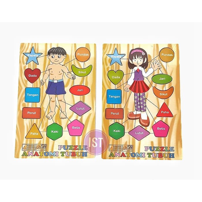 Jual Puzzle Papan Kayu Anatomi Tubuh | Shopee Indonesia