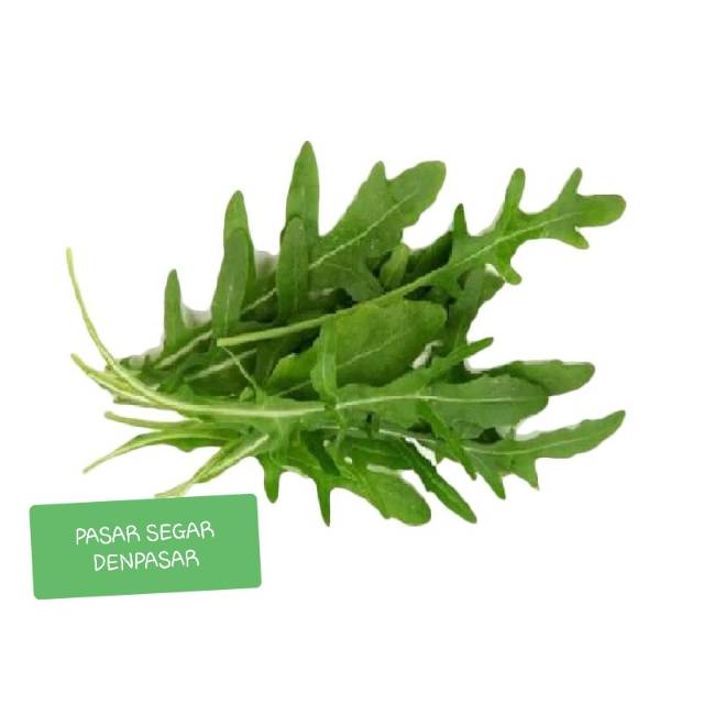 Jual WILD RUCOLA /100G | Shopee Indonesia