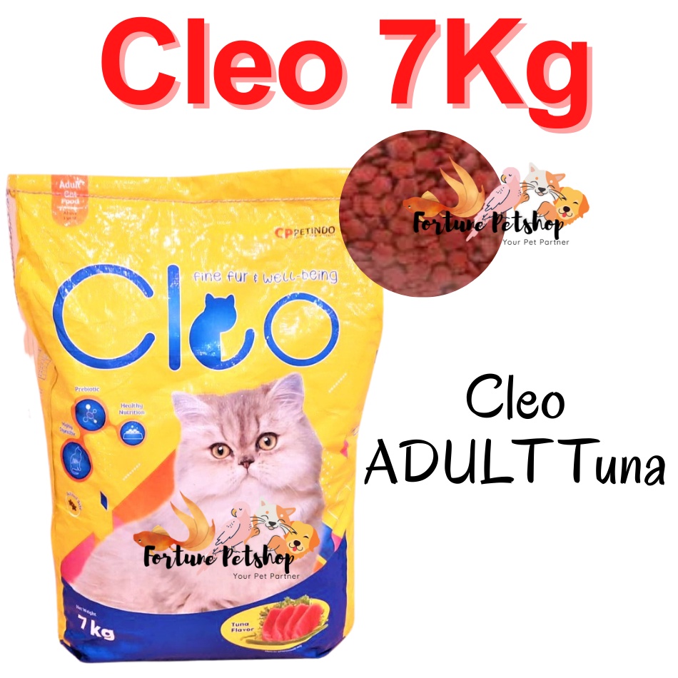 Jual Cleo Persian / Cleo kitten / Cleo adult tuna / Cleo adult salmon 7 ...