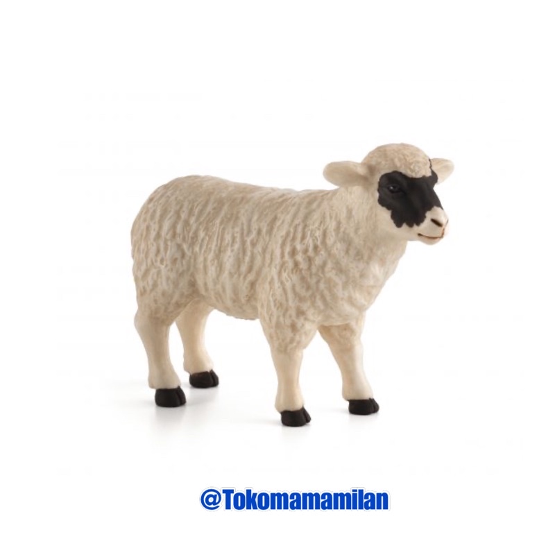 Jual Mojo | Mojo Fun Animal Figurine Black Faced Sheep Ewe / Miniatur ...
