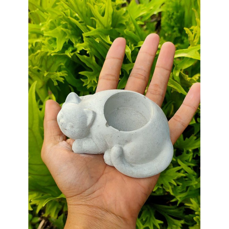 Jual Promo cuci gudang | Pot semen kaktus sukulen | pot bonsai | tempat ...