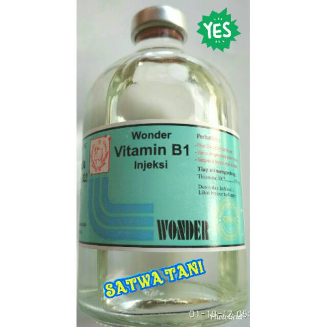 Jual Wonder Vitamin B 1 100 ml | Shopee Indonesia