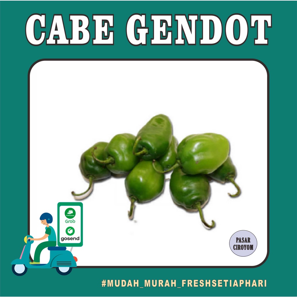 Jual CABE GENDOT FRESH MURAH BANDUNG | Shopee Indonesia