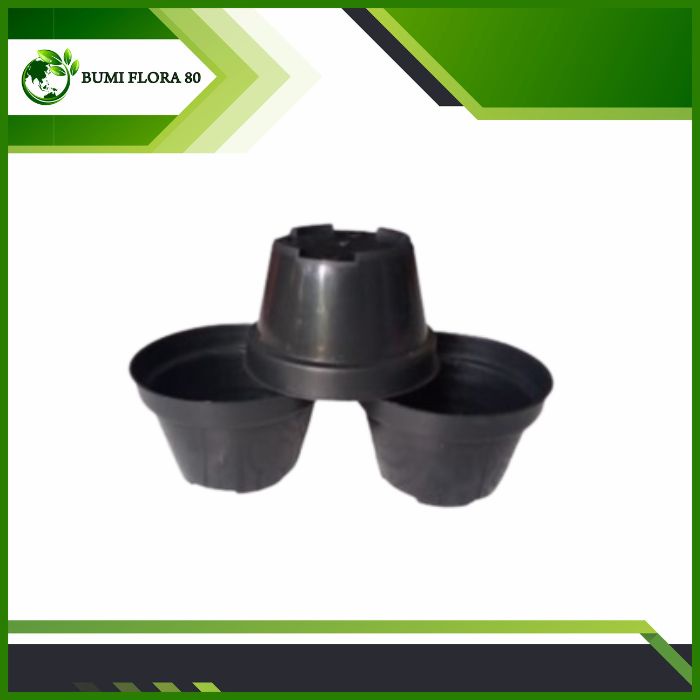 Jual Pot TB 15 Polos / Pot Plastik / Pot Bunga | Shopee Indonesia