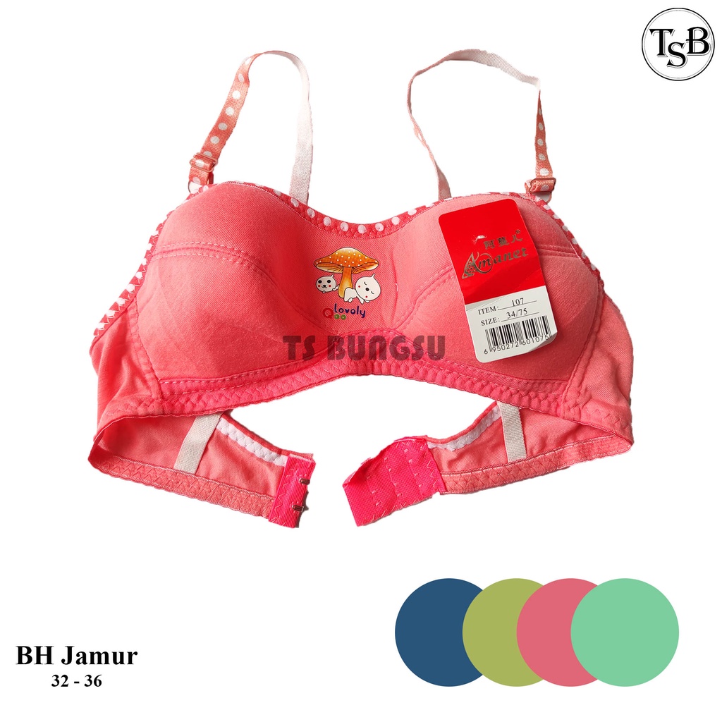 Jual BRA Remaja Miniset Remaja BH Anak SMP SMA BRA Anak Remaja Miniset ...