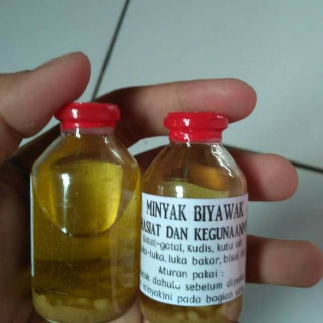 Jual Minyak Biawak atau Biyawak (Kemasan Baru) | Shopee Indonesia