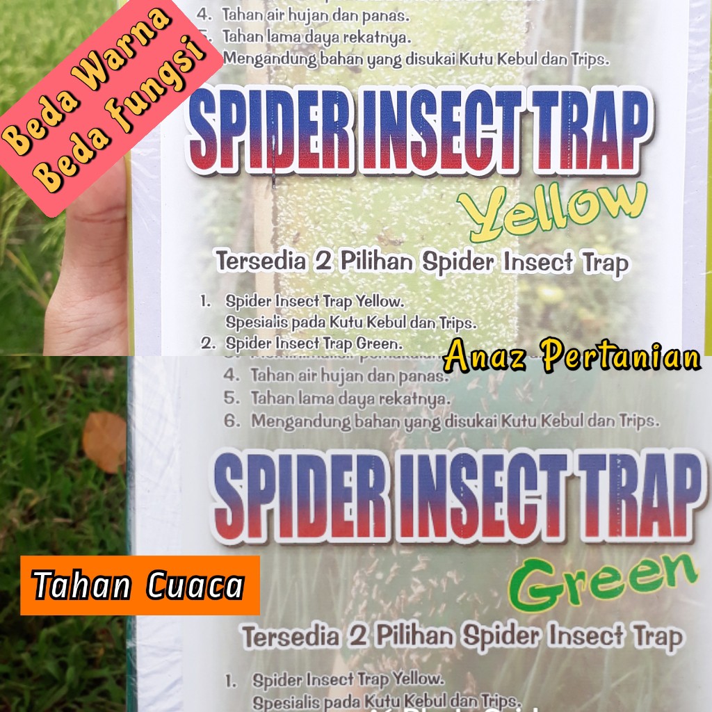 Jual Spider Insect Trap 100 Lembar Lem Perangkap Kutu Kebul Thrips ...