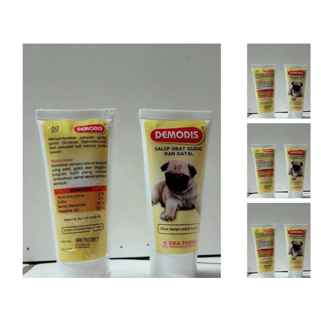 Jual demodis dog salep obat jamur gudig gatal anjing | Shopee Indonesia