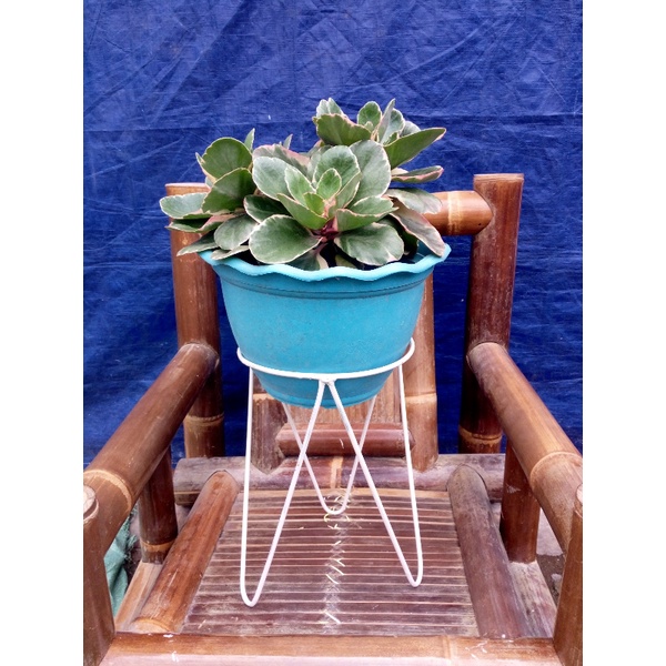Jual Standing Pot Diameter 25cm besi SNI / Rak Pot Bunga / Rak Pot ...