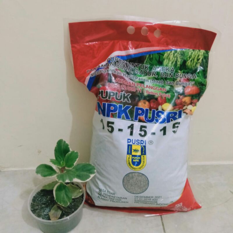 Jual Pupuk NPK 15 15 15 PUSRI / 5kg | Shopee Indonesia