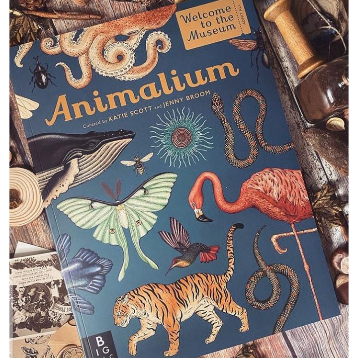 Jual Welcome to the museum Animalium [NEW] | Shopee Indonesia