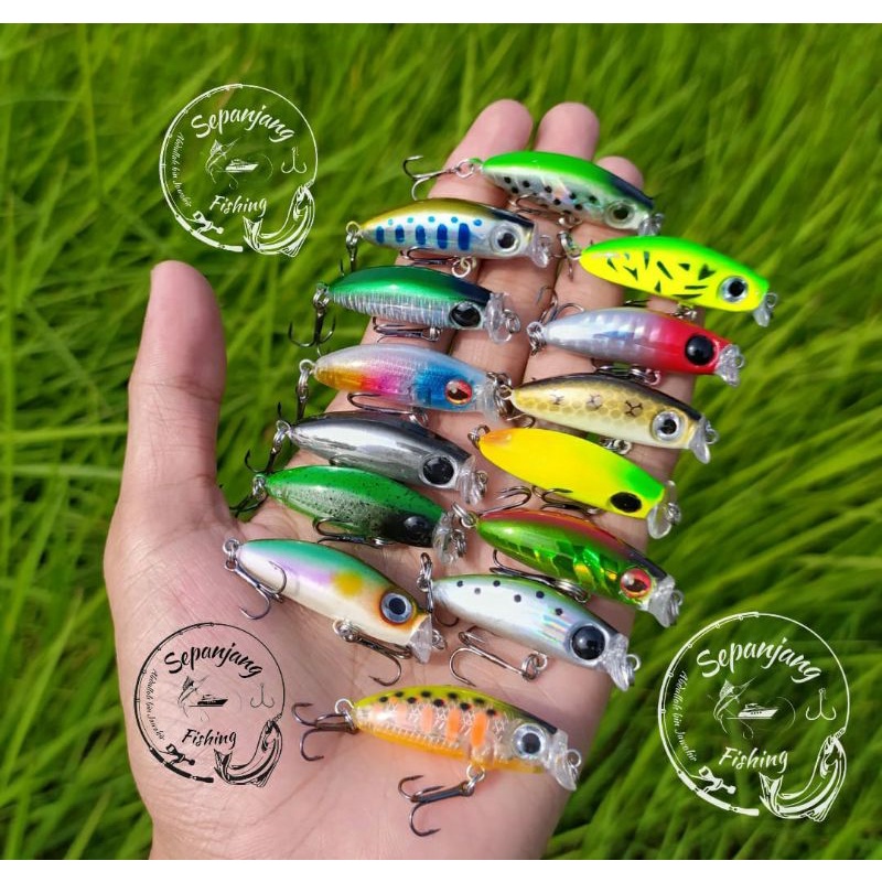 Jual Mini Minnow hybrid ~ 4 cm / 3 gram ~ slow sinking ~ micro minnow ~ Sepanjang Fishing ...