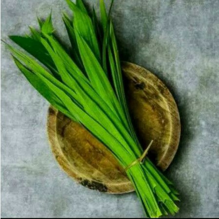 Jual Daun pandan 1 ikat ( 50 gram ) | Shopee Indonesia