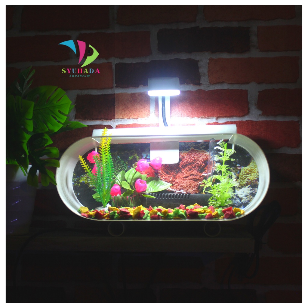 Jual [PROMO] TERMURAH ! Aquarium Mini Full set Dengan Pompa Dan Filter ...
