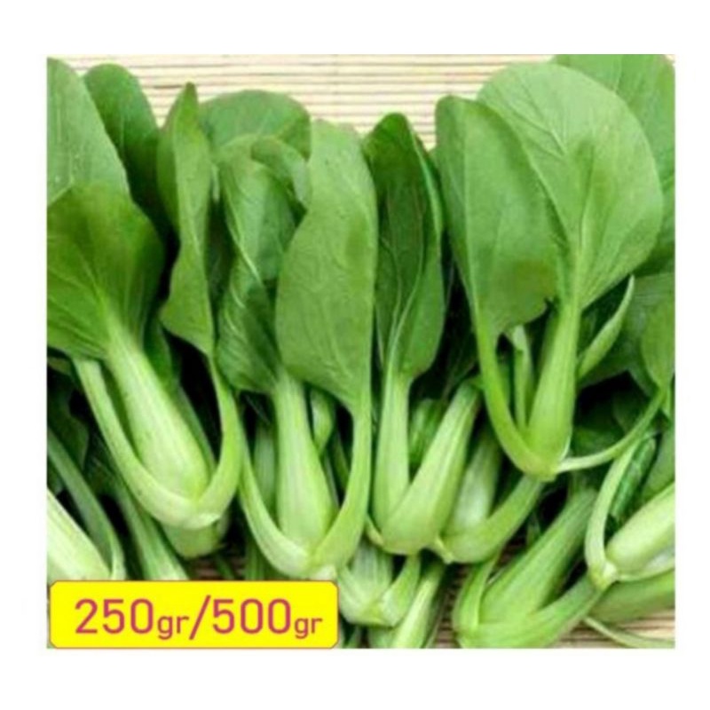 Jual Pakcoy Segar 250g | Shopee Indonesia