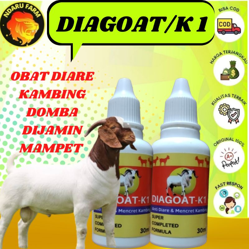 Jual Obat Diare Mencret Kambing Domba Ampuh DIAGOAT K 1 NDARUFRAM ...